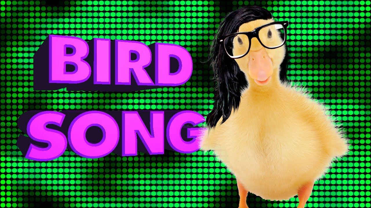 Bird Song : animated music video : MrWeebl – Weebls Stuff