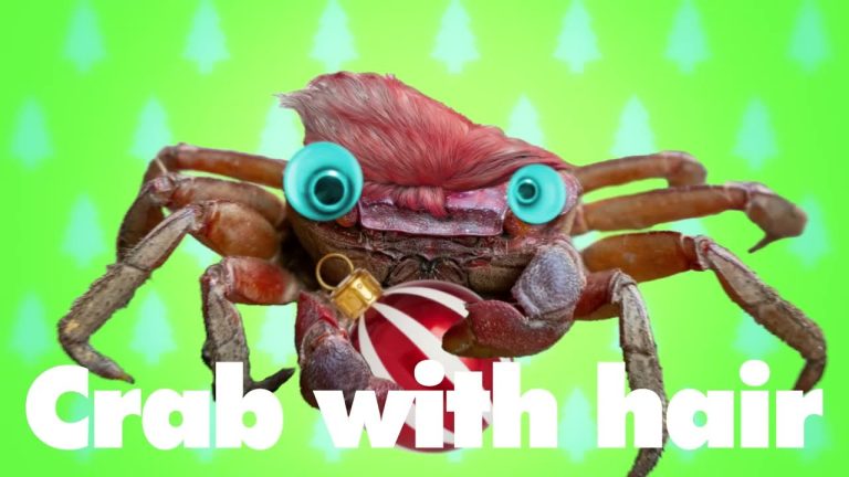 Weebls Stuff – Animations and sillyness